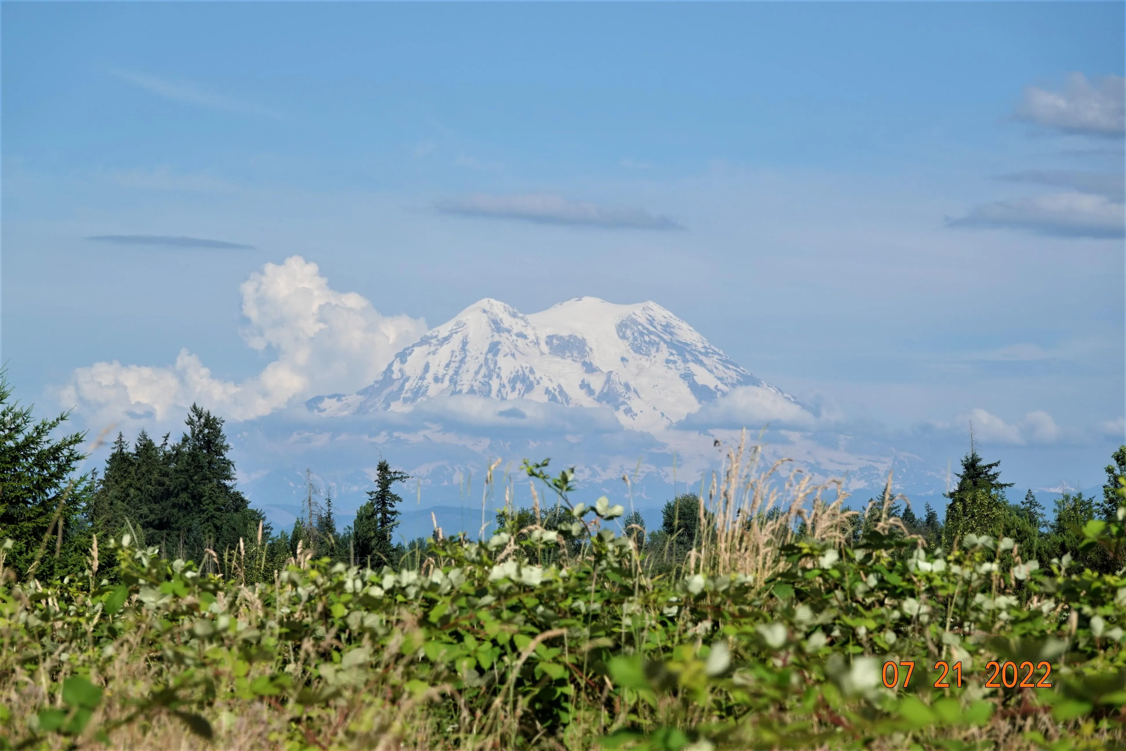 Land for sale, hobby farms for sale in Washington - 117 Properties ...