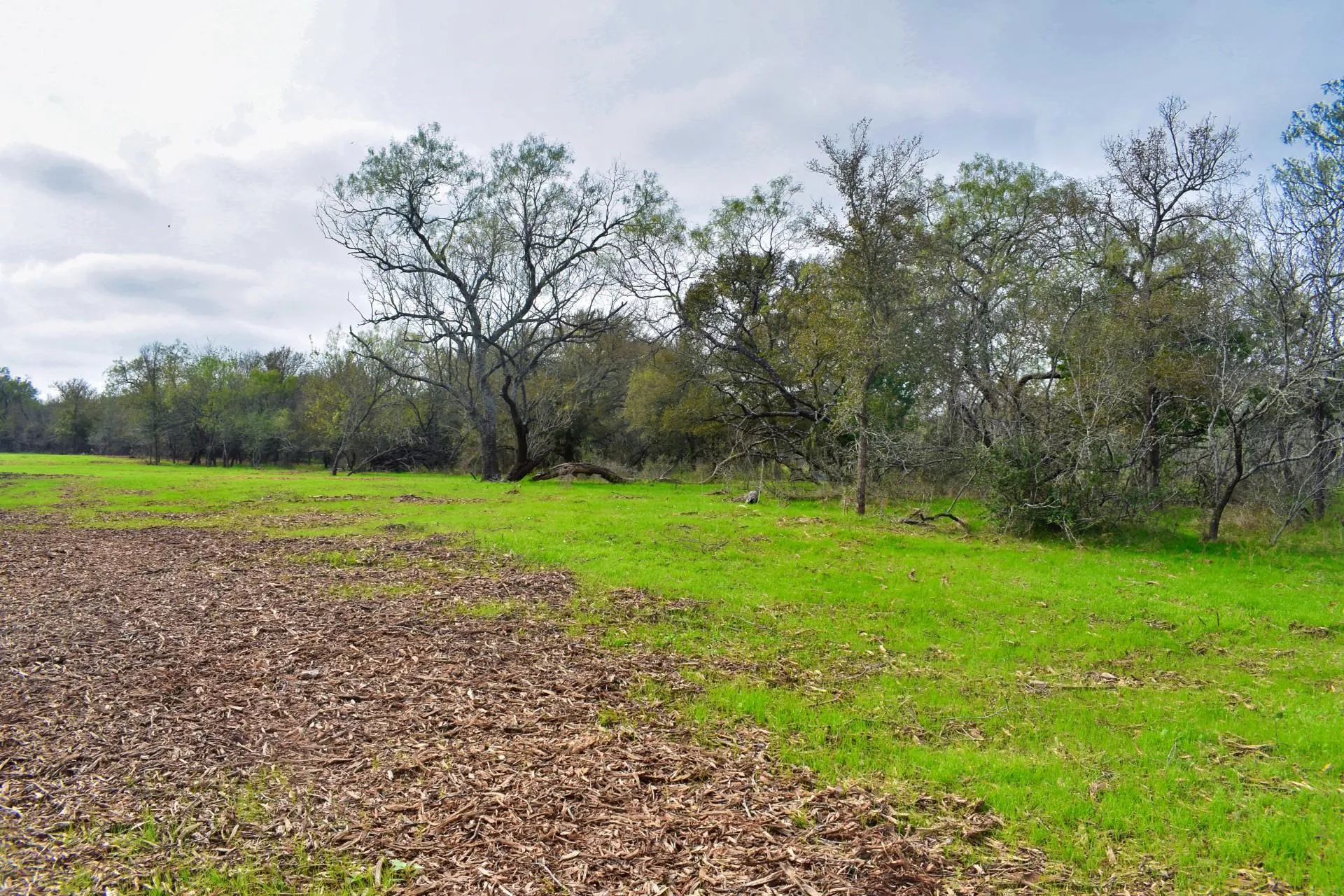 1 Acre of Land For Sale in Texas, 1 Acre Lots for Sale, Homes on 1 Acre in Texas | Land.com