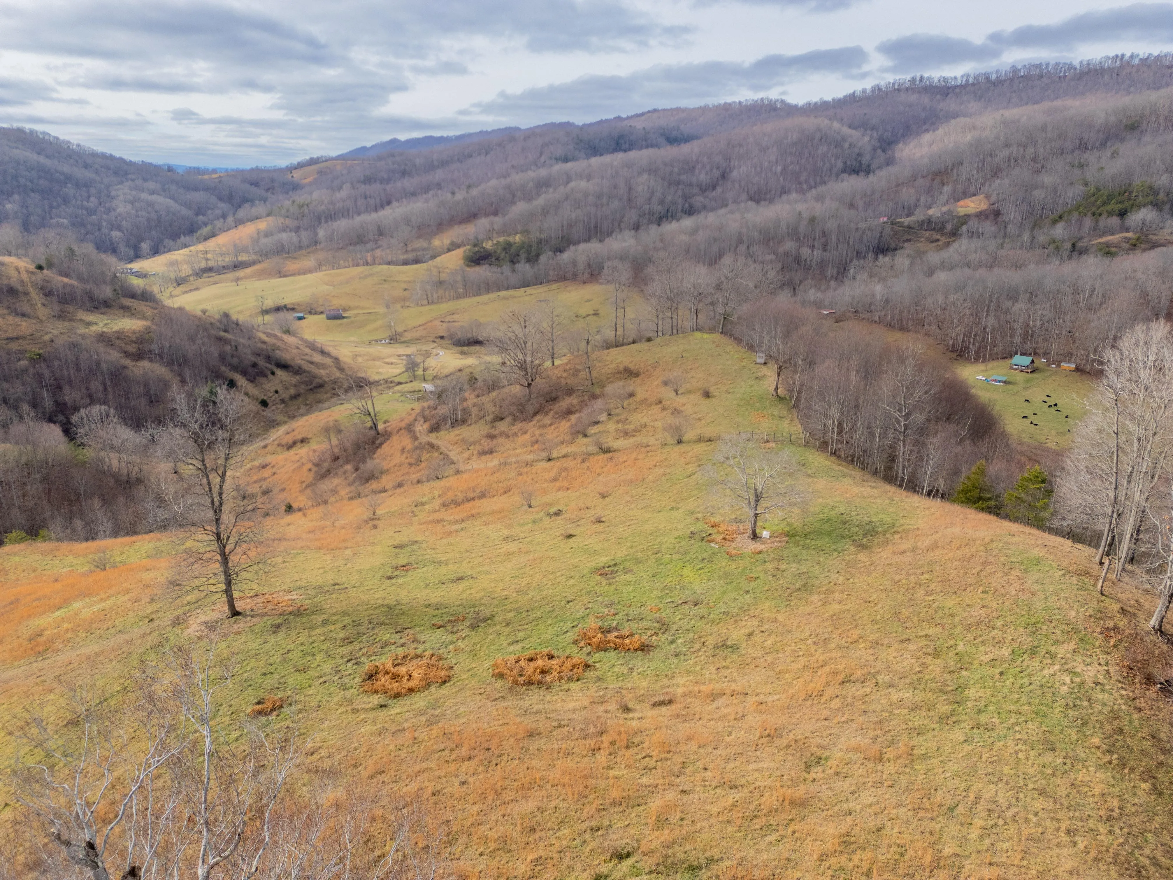 Farms for Sale in Virginia - 506 Properties - Land.com