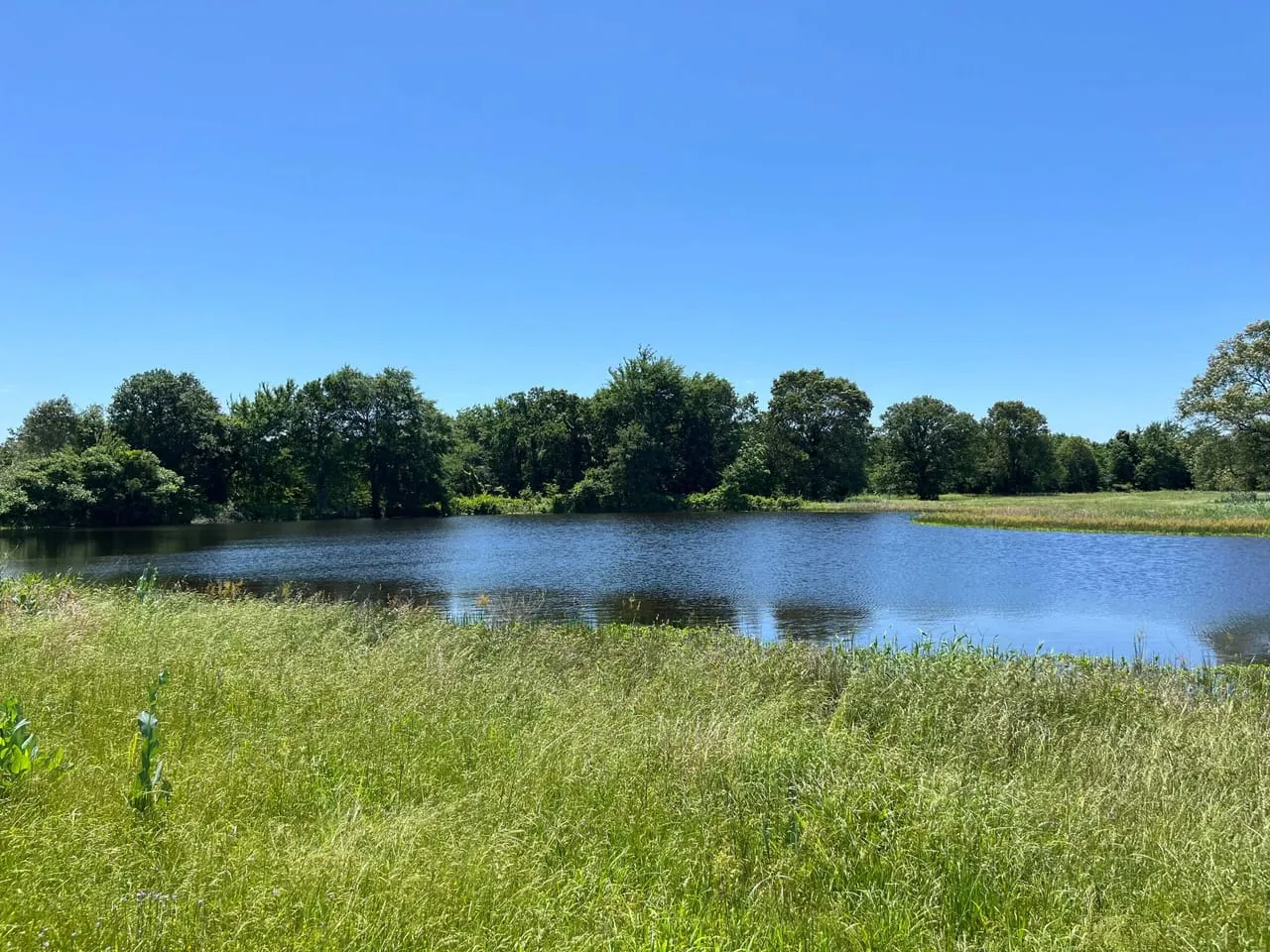 Hunting Land for Sale in Oklahoma - 1,112 Properties - Land.com