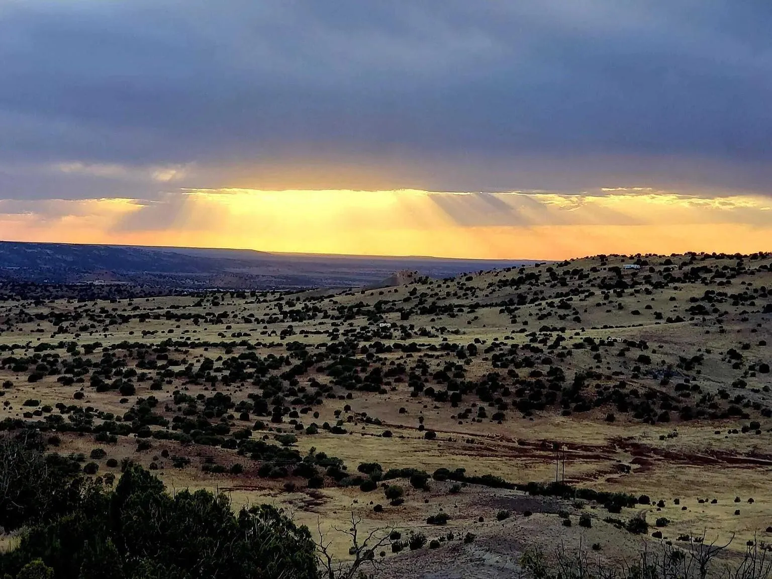 Land for Sale in Apache County, Arizona up to 10 Acres - 750 Properties ...