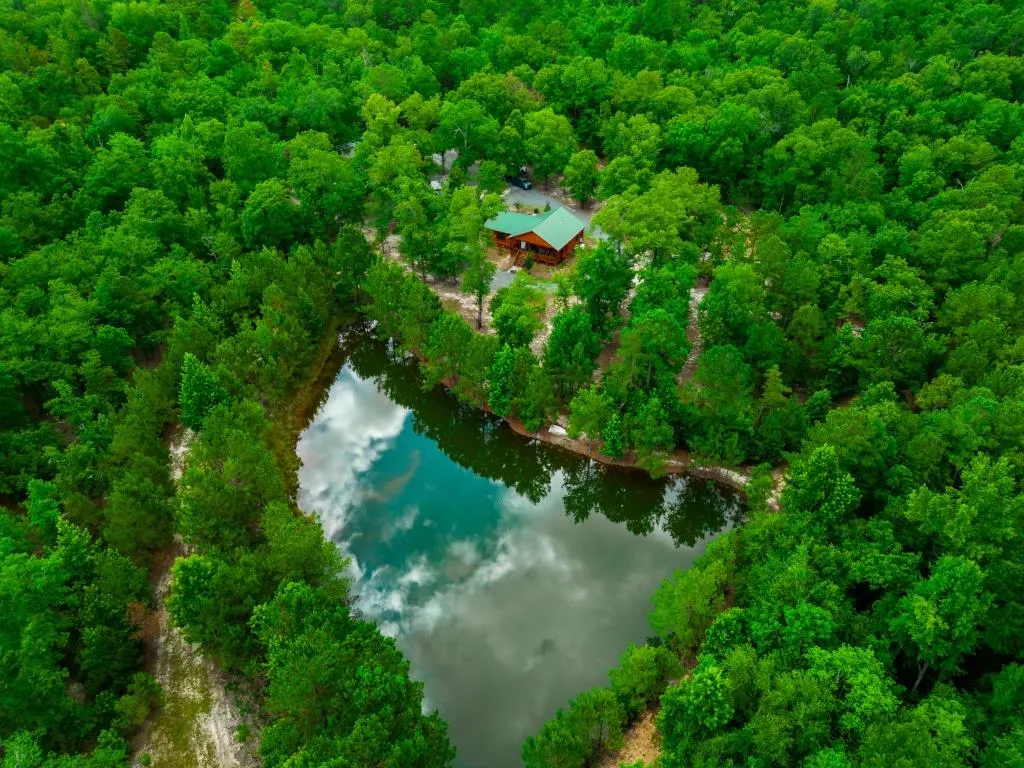 Land for Sale in Butler, Georgia - 25 Properties - Land.com