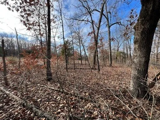 Land for Sale in Arkansas up to $150K - 8,140 Properties - Land.com