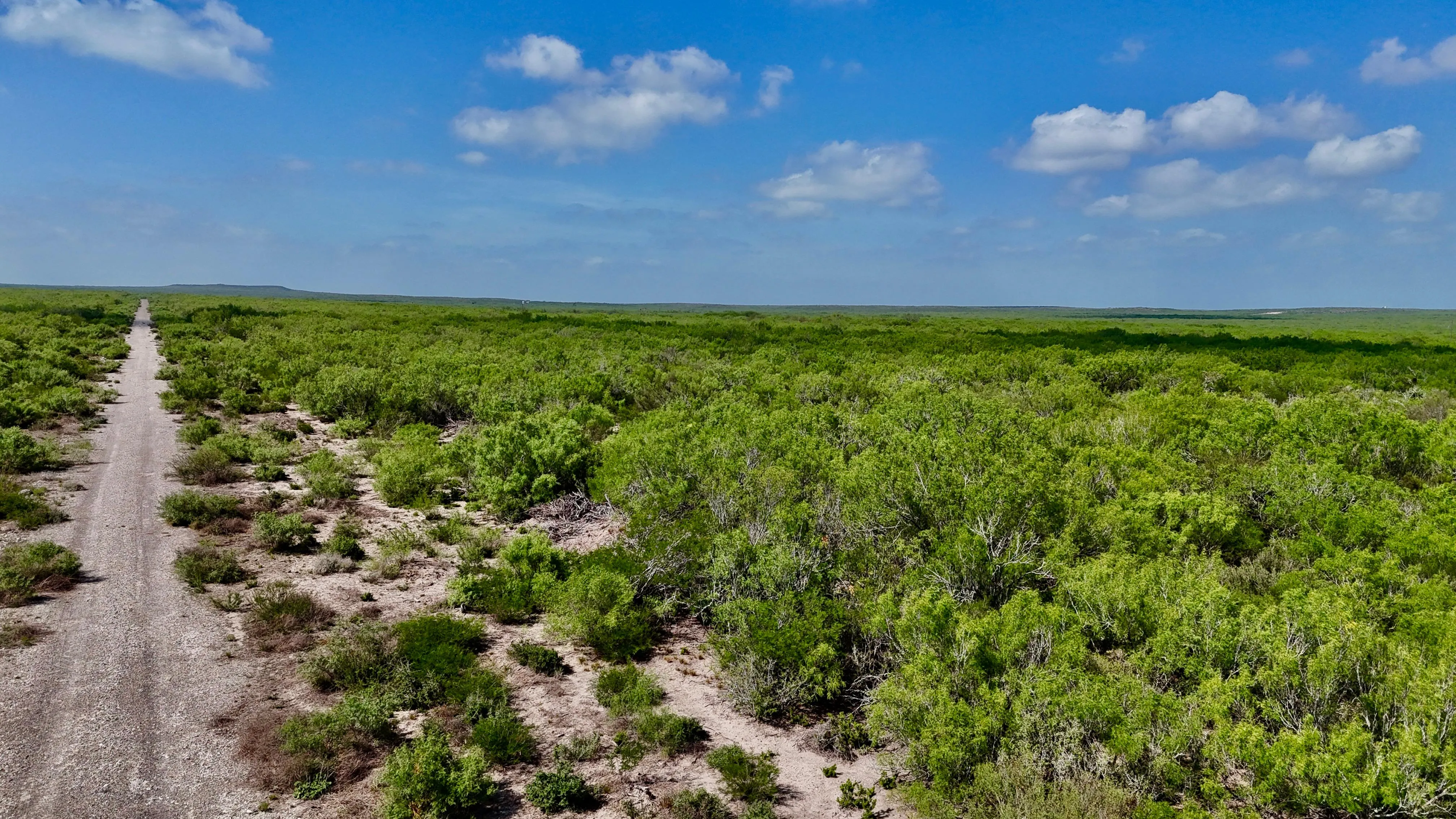 Land for Sale in Freer, Texas - 47 Properties - Land.com