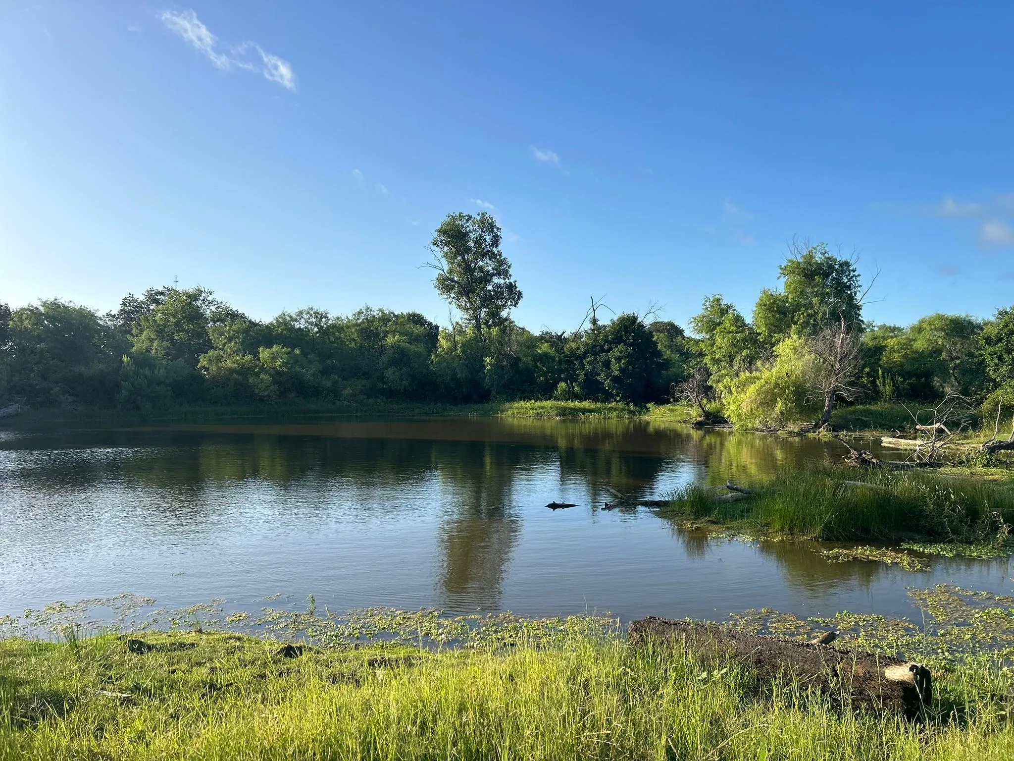 Ranches for Sale in Gorman, Texas - 13 Properties - Land.com