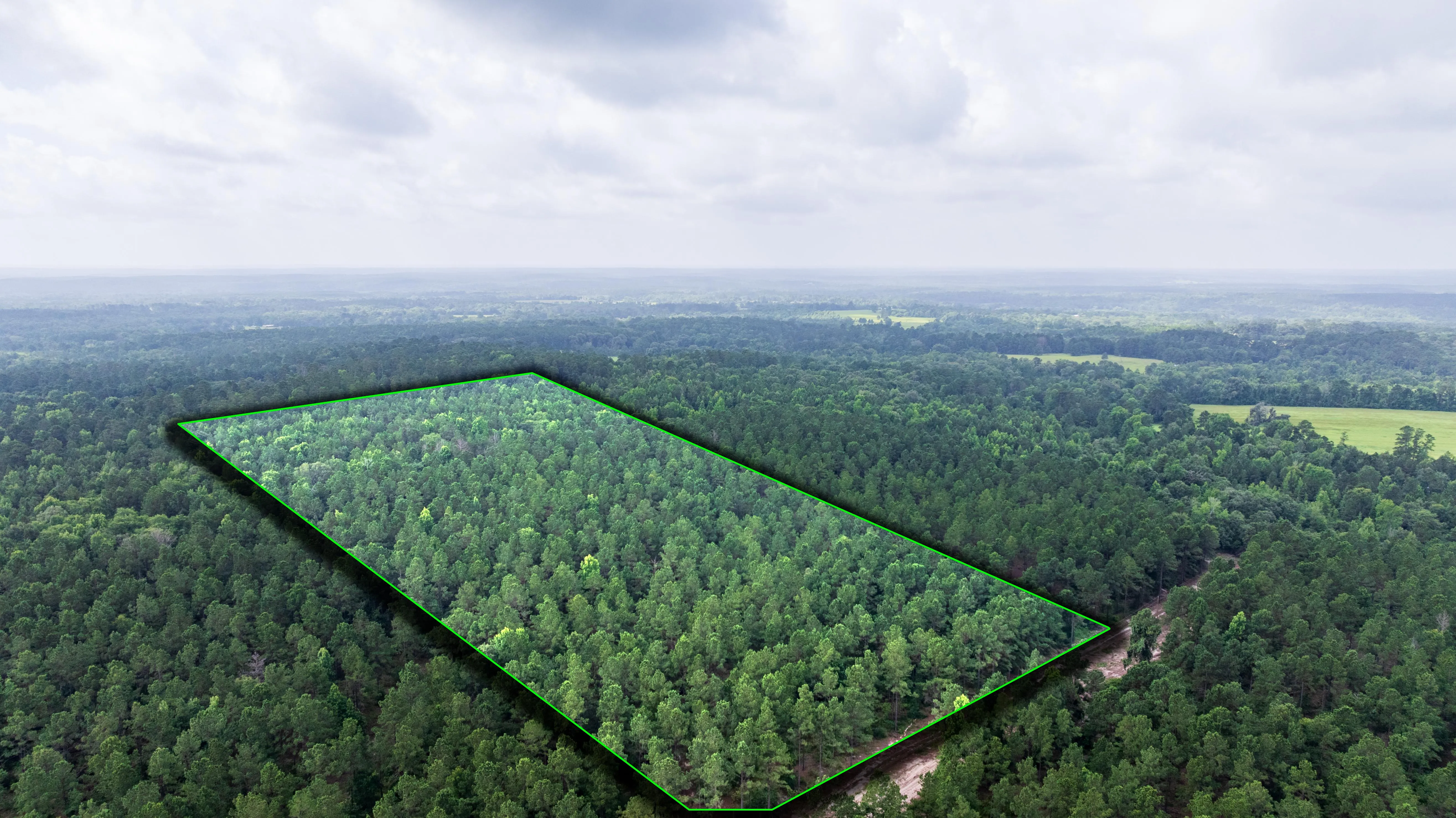 Timberland Properties for Sale in Texas - 536 Properties - Land.com