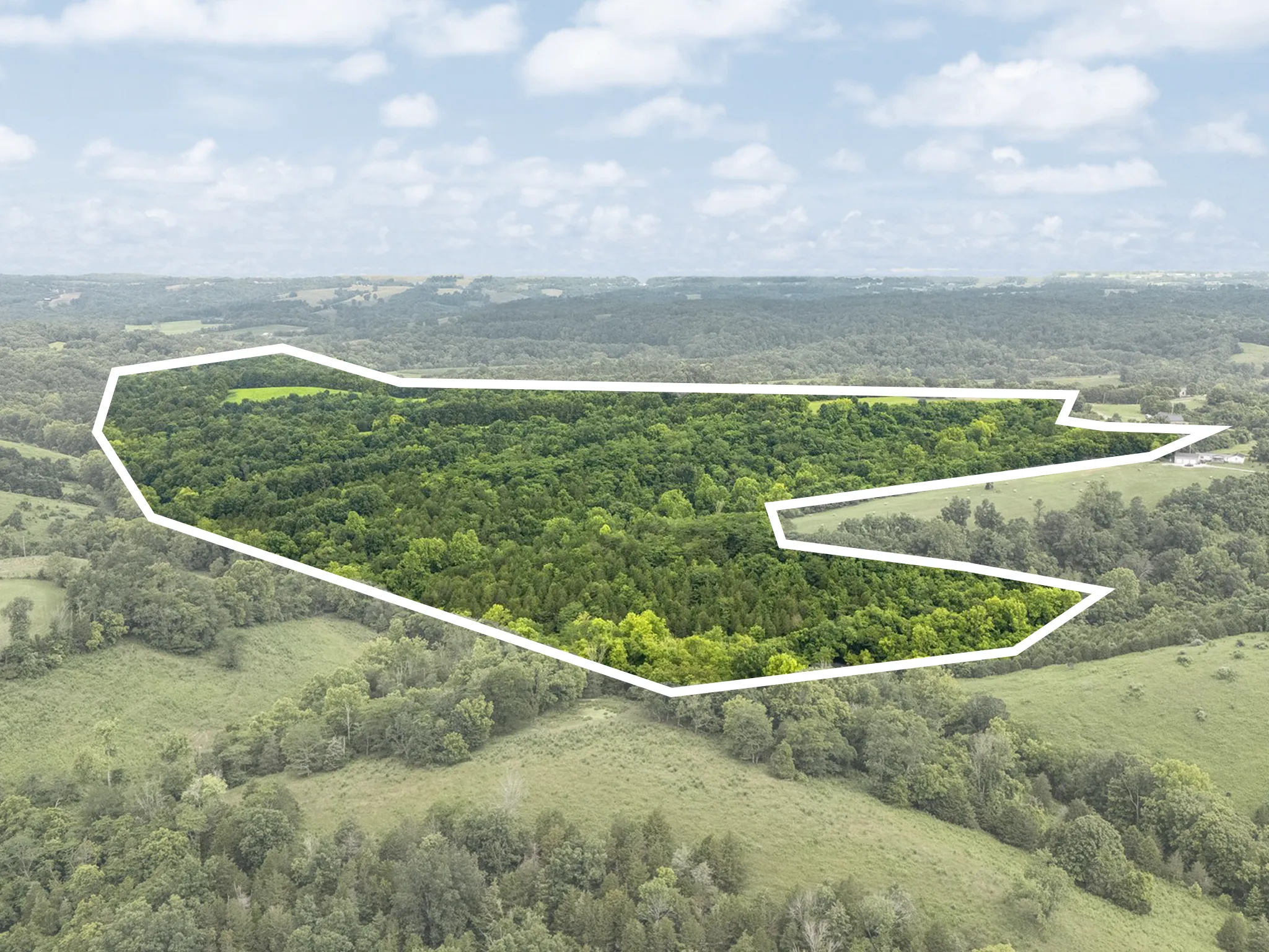 Land for Sale in North Central Kentucky Region over 50 Acres - 337 ...