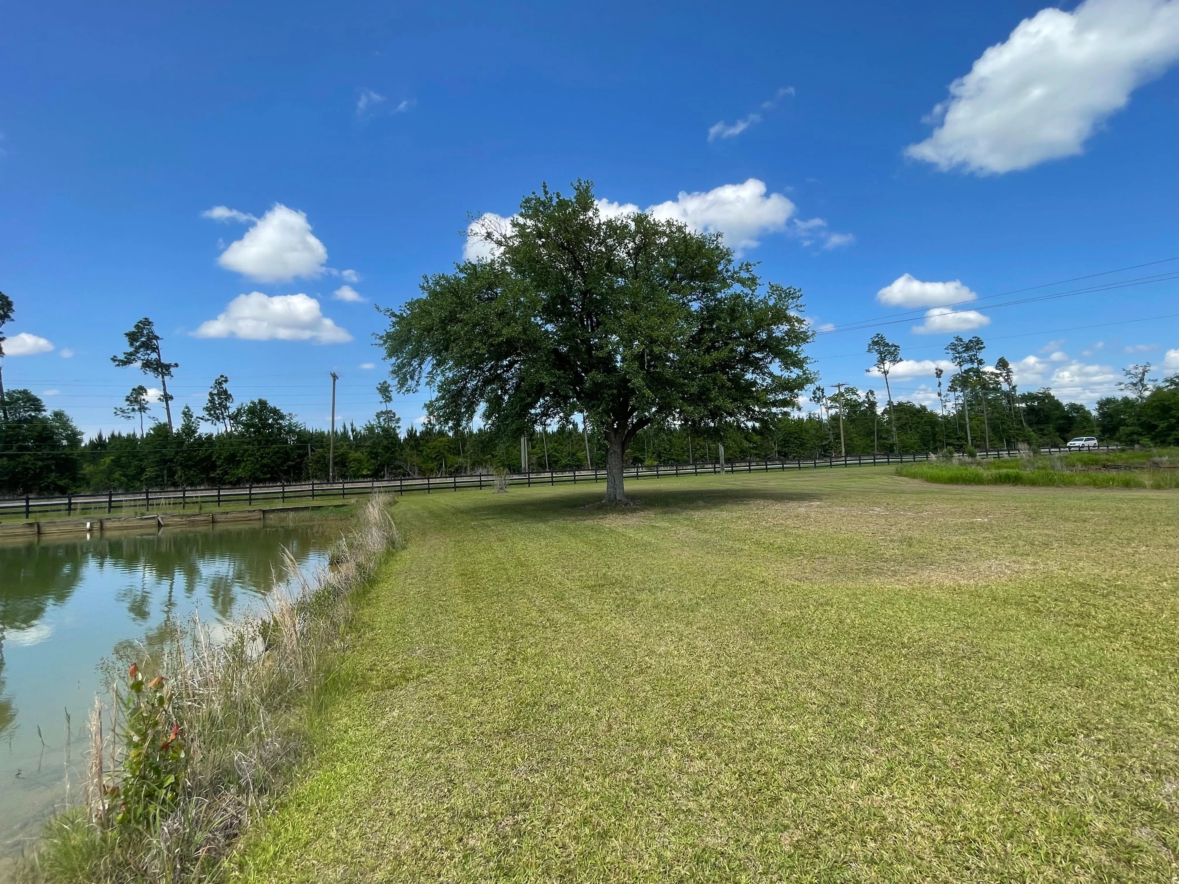 Properties of Kent Whitson with Ag 1 Land Company in Bonifay, FL