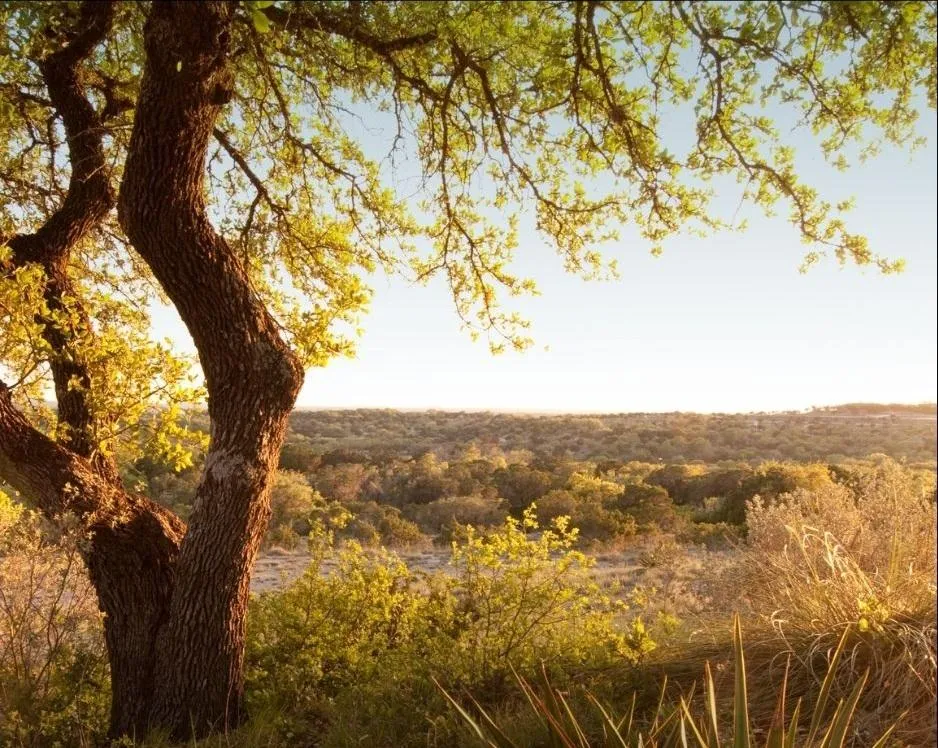 Land for Sale in Spring Branch, Texas - 325 Properties - Land.com