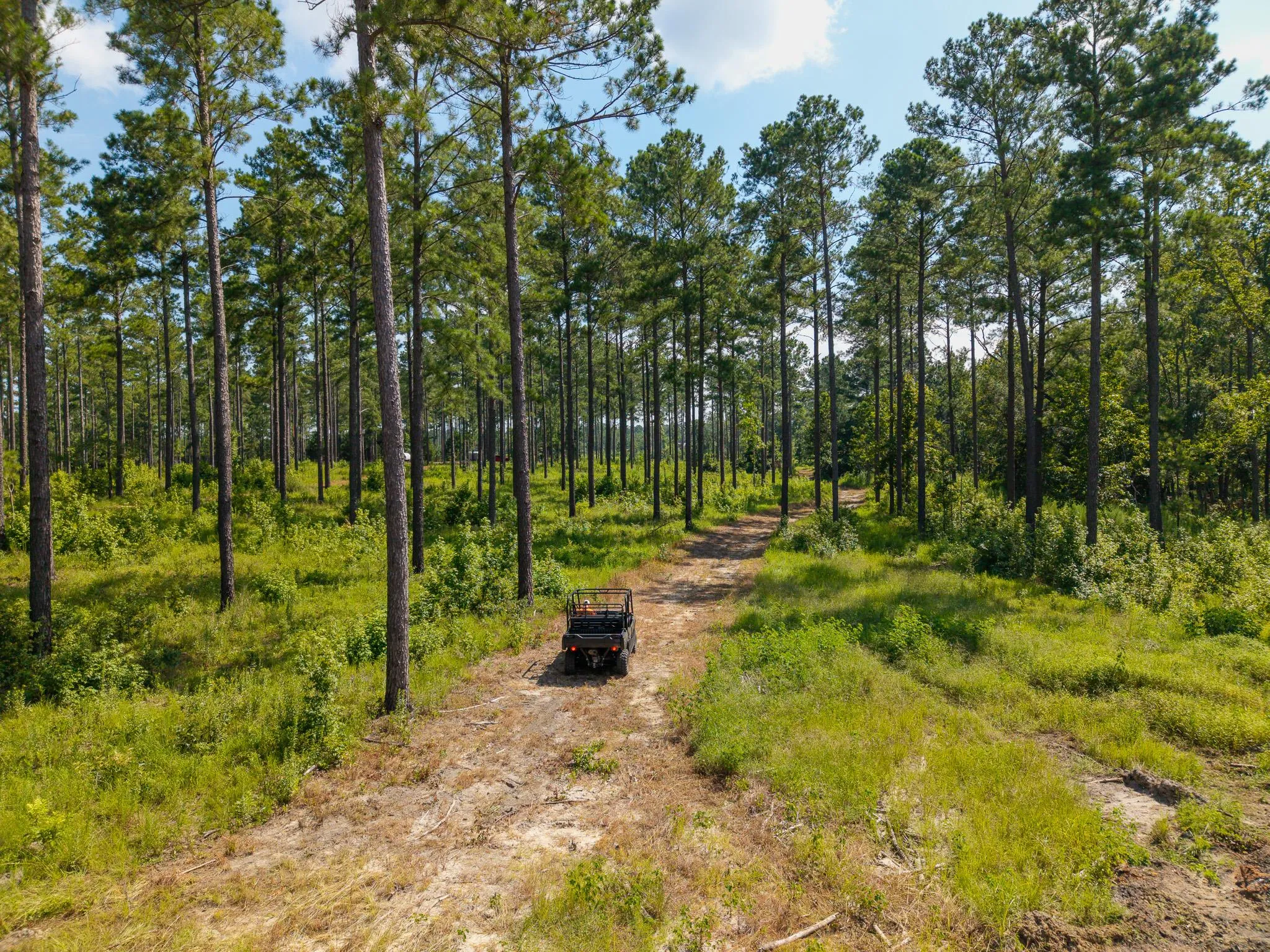 Hunting Land for Sale in Georgia - 714 Properties - Land.com