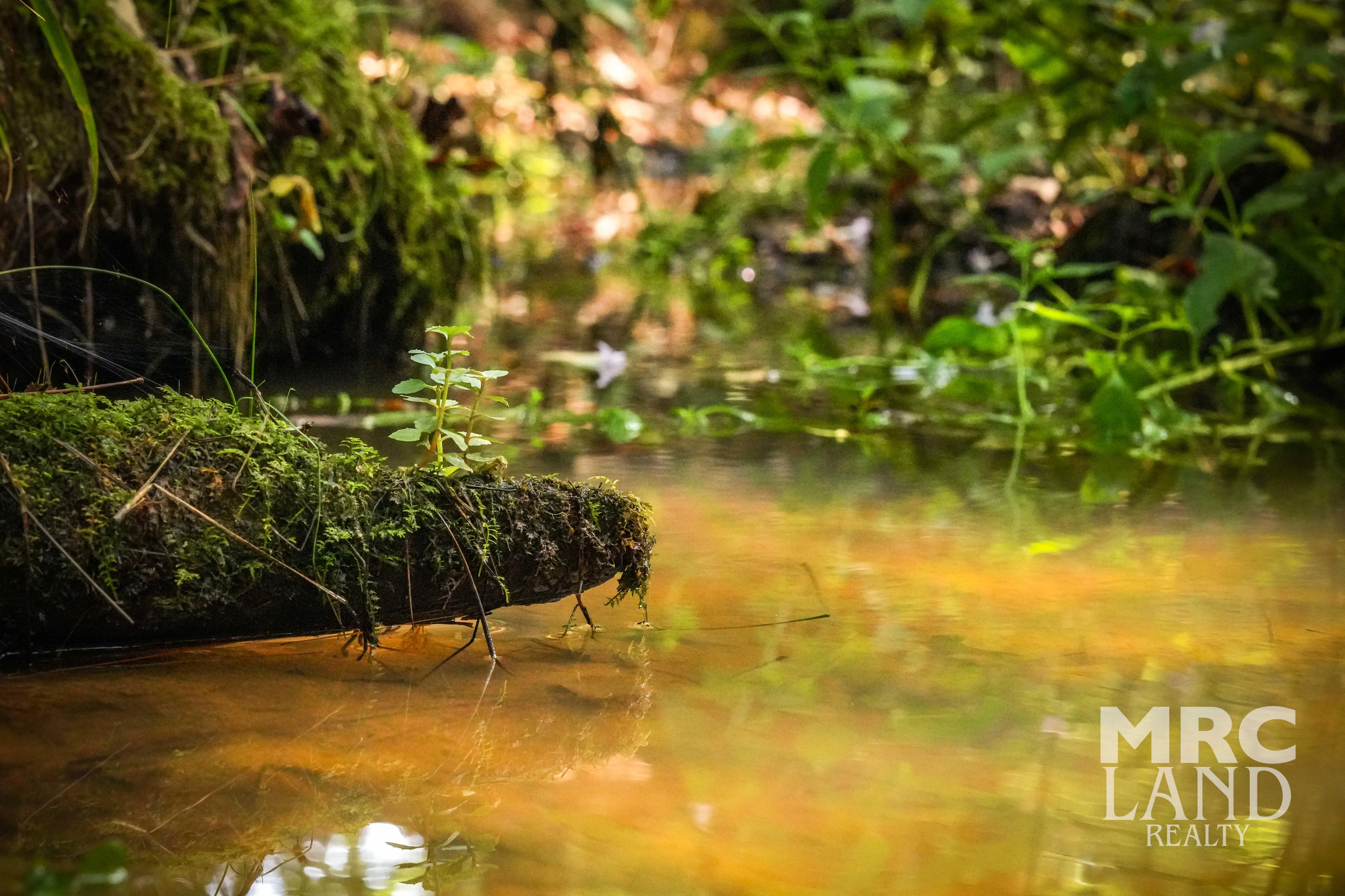 Affordable Texas Land for Sale, Budget-Friendly Acreage, Value ...