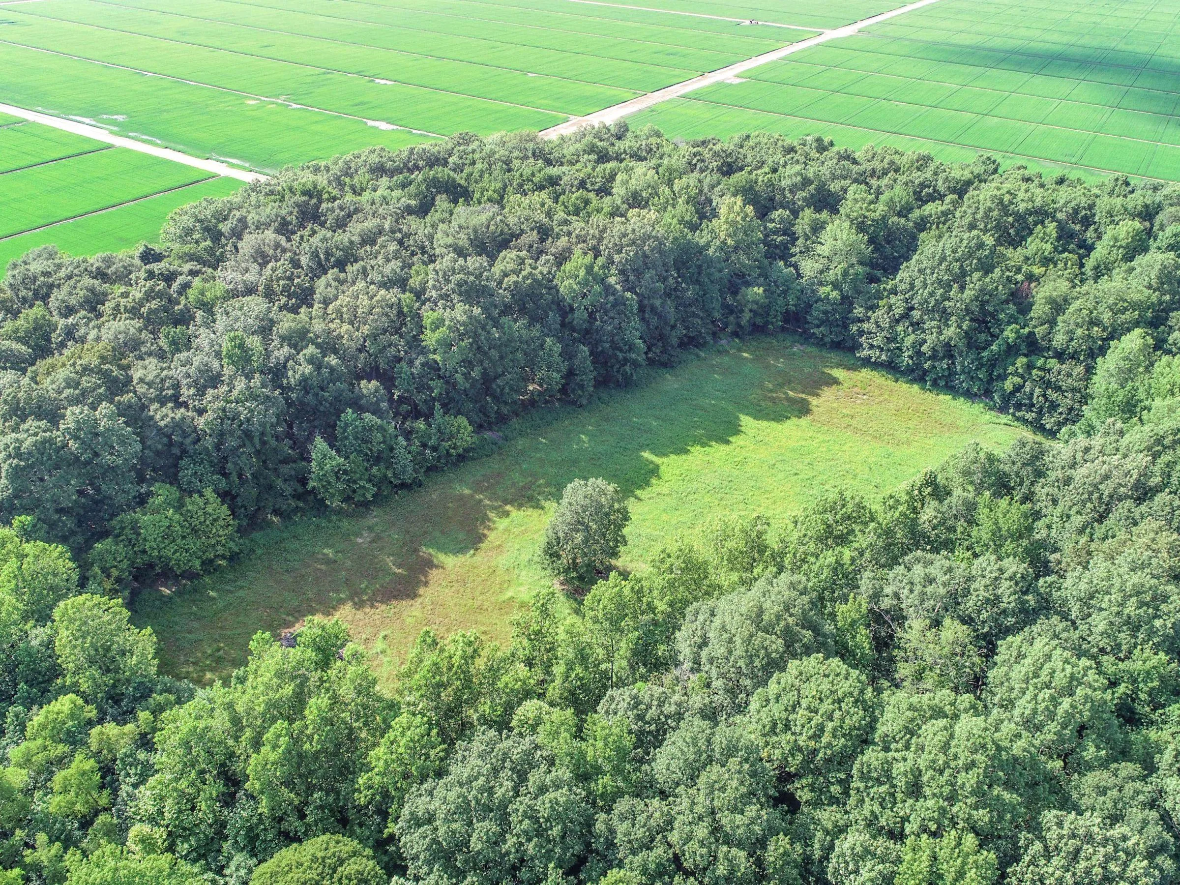 Land for Sale in Mississippi up to 500 Acres - 9,039 Properties - Land.com