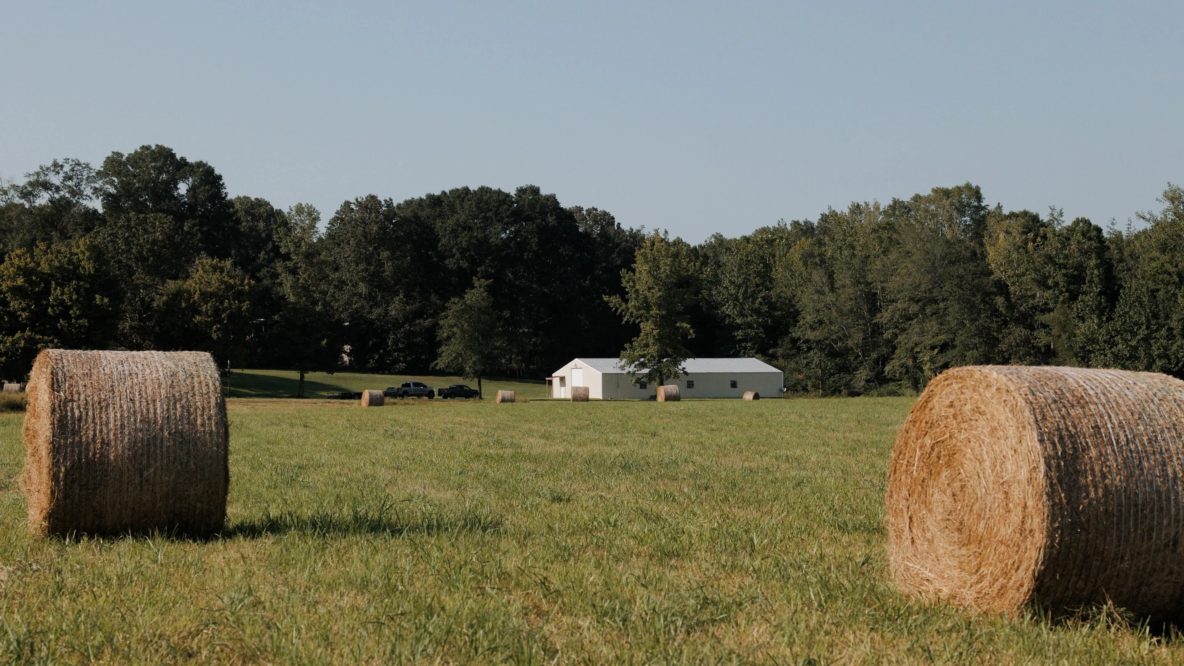 Undeveloped Land for Sale in Bolivar, Tennessee - 12 Properties - Land.com