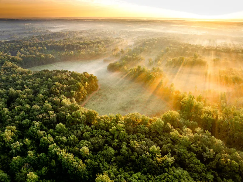 Cabins For Sale in Mississippi - 287 Properties - Land.com