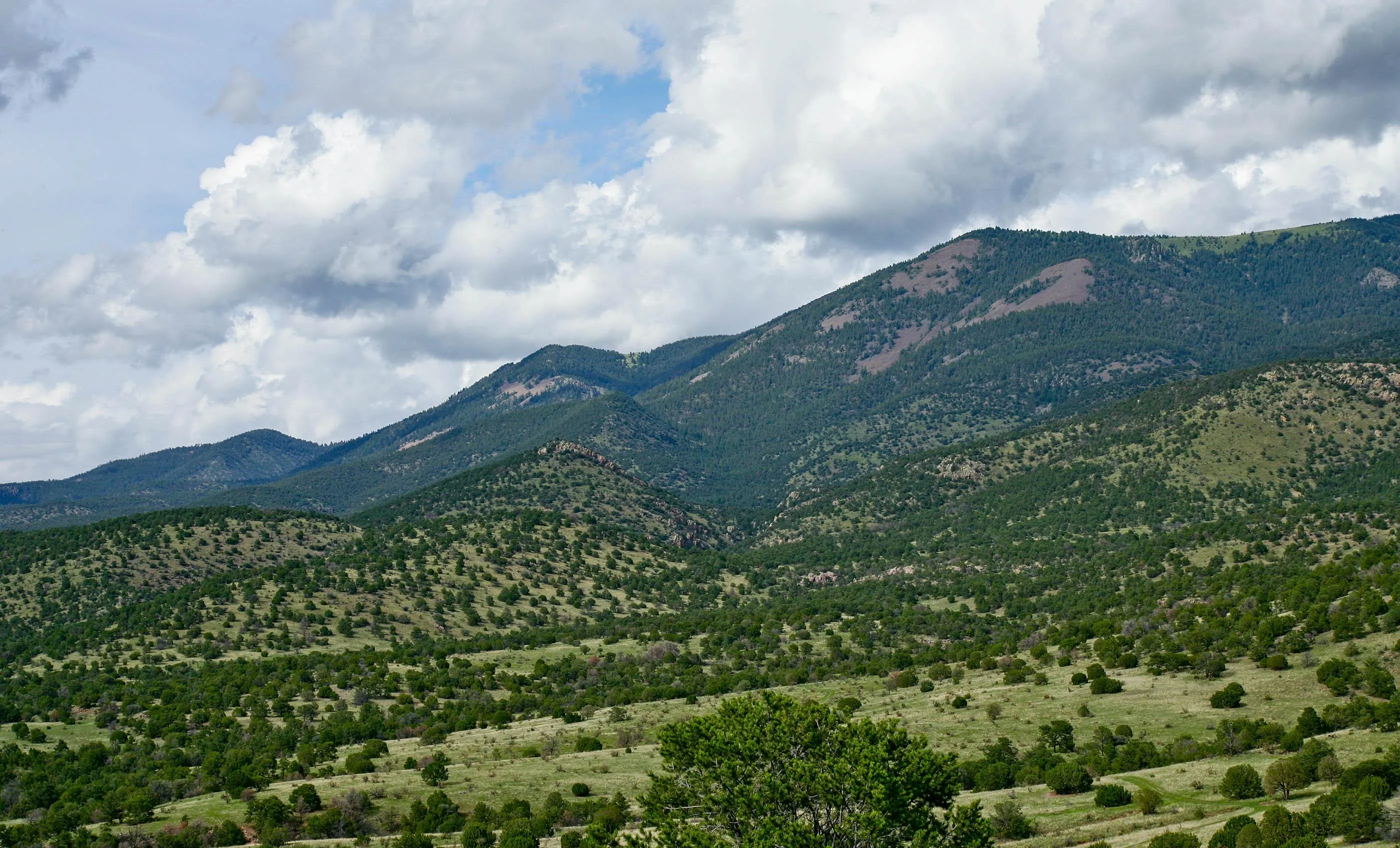 Properties of Sam Middleton with Chas S. Middleton and Son in Lubbock, TX