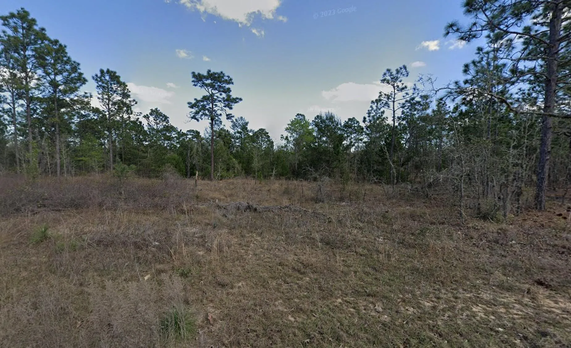 Land for sale, hobby farms for sale in Florida - 317 Properties - Land.com