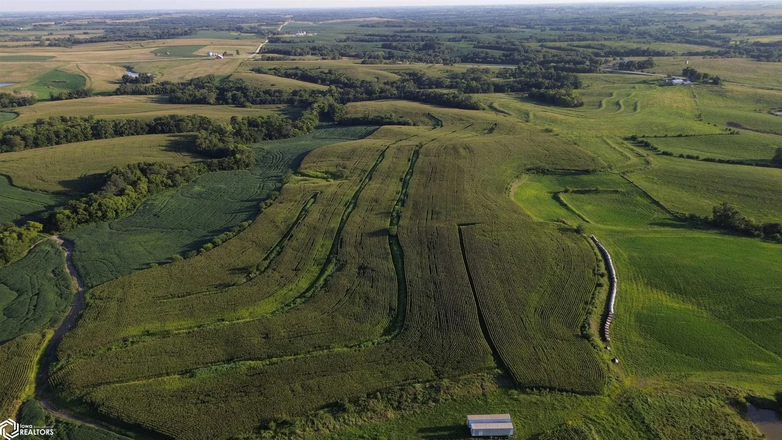 Land for Sale in Taylor County, Iowa - 26 Properties - Land.com