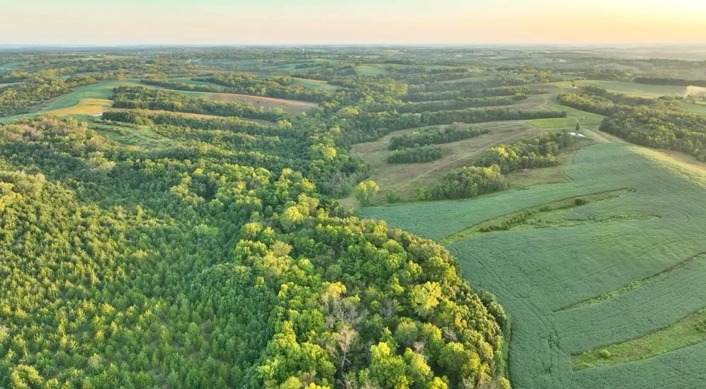 Land for Sale in Missouri - 13,328 Properties - Land.com