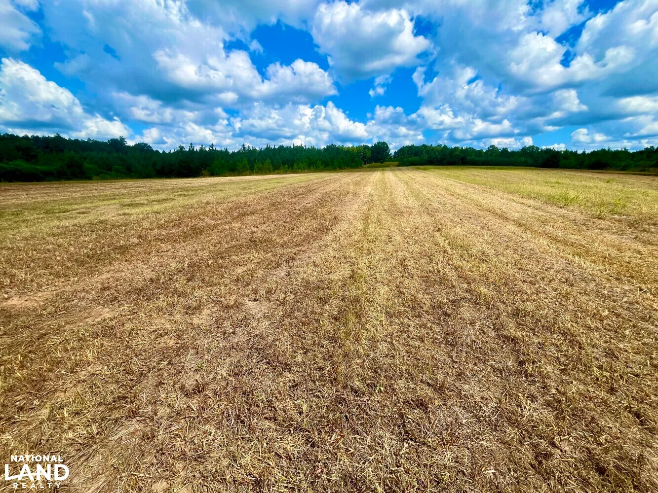 Hunting Land for Sale in Alabama - 1,007 Properties - Land.com