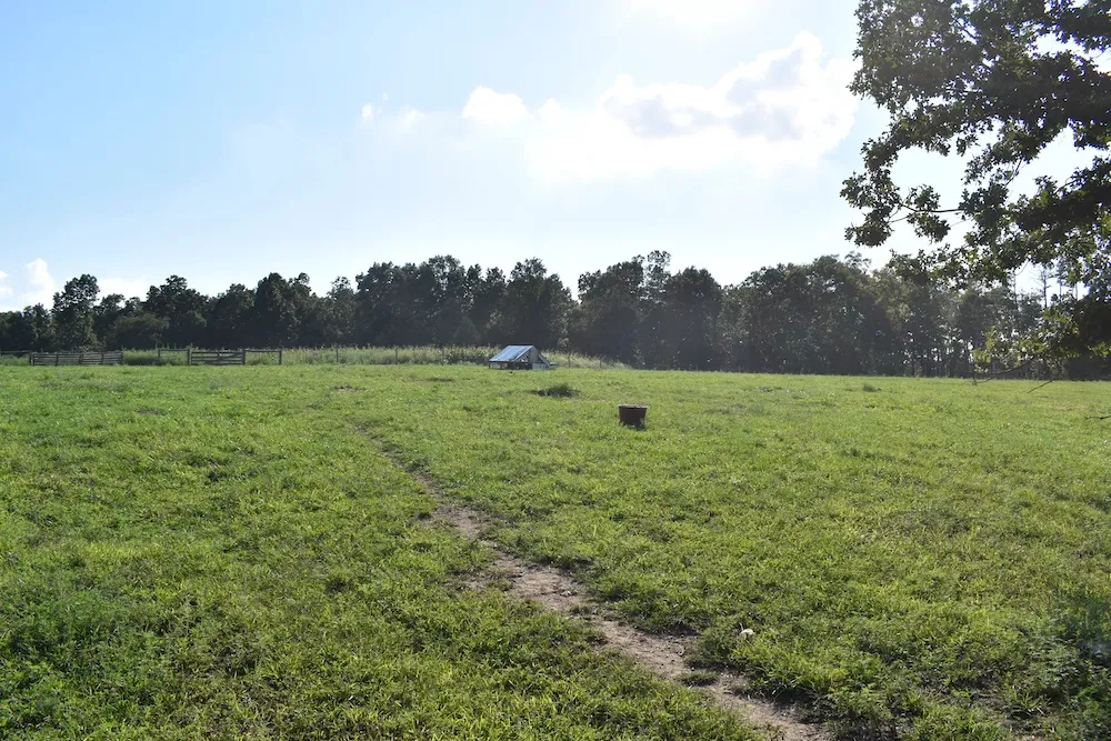 Land for sale, homesteads for sale in Missouri - 732 Properties - Land.com