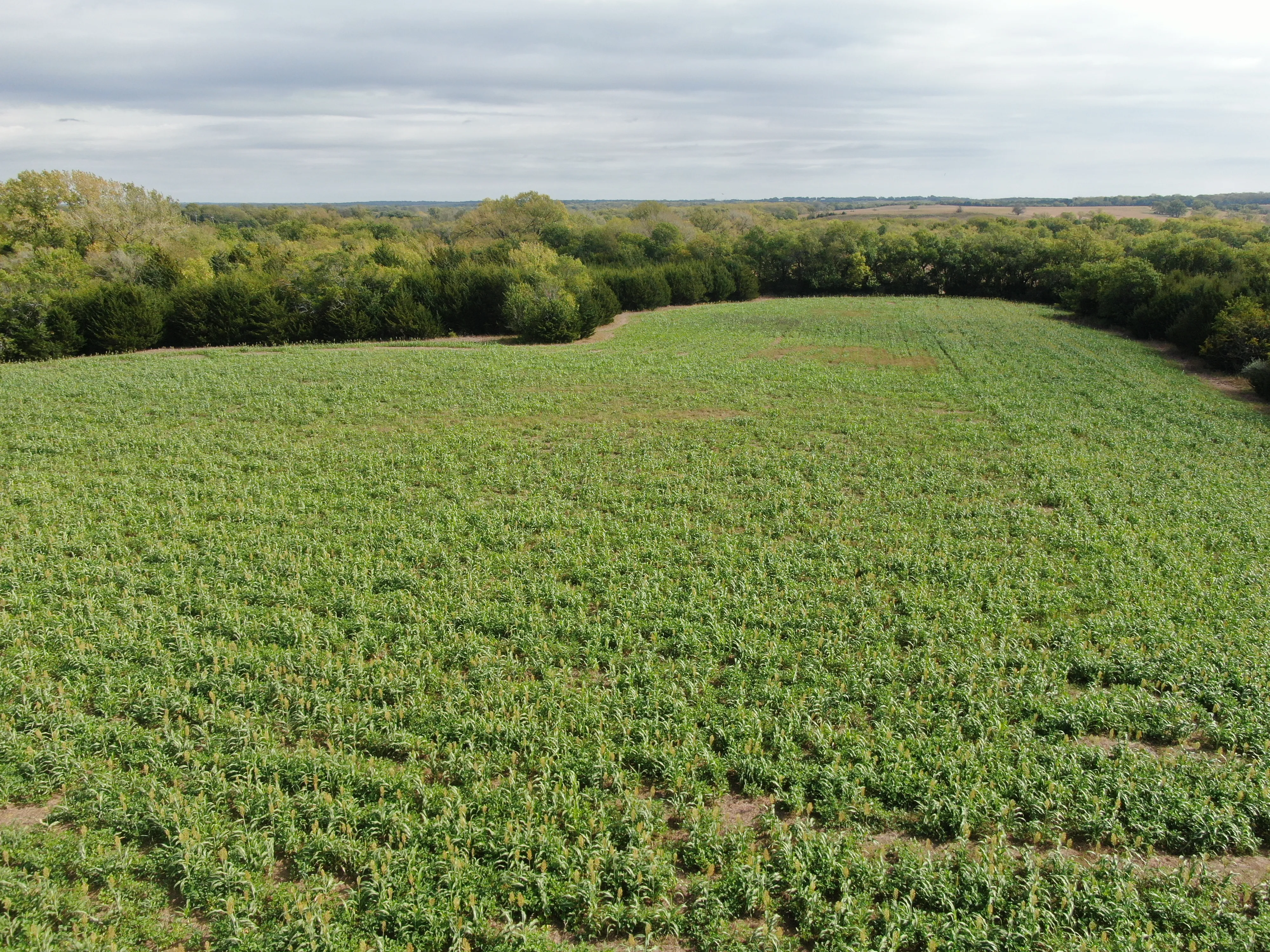 Hunting Land for Sale in Mineral Springs, Kansas - 1 Properties - Land.com