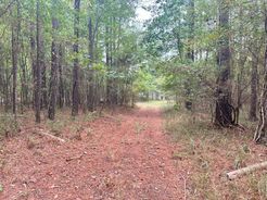 Land for Sale in Jasper County, Mississippi - 34 Properties - Land.com