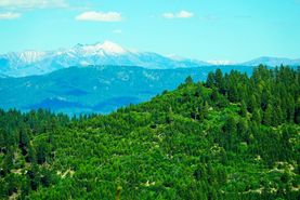 Land for Sale in Idaho - 7,863 Properties - Land.com