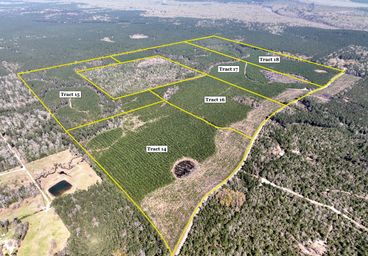 Land for Sale in Tyler County, Texas over 10 Acres - 99 Properties ...