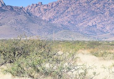 Land for Sale in Cochise County, Arizona - 907 Properties - Land.com