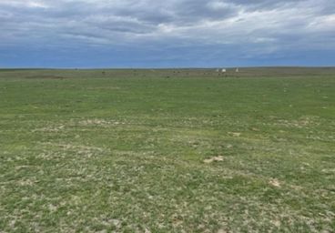 Land for Sale, Property for Sale in Lake Eucha, Oklahoma between 700 ...