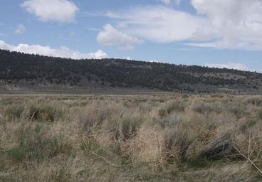 Land for Sale in Eastern Oregon Region - 782 Properties - Land.com