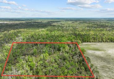 Land for Sale in Florida over 5 Acres - 5,693 Properties - Land.com