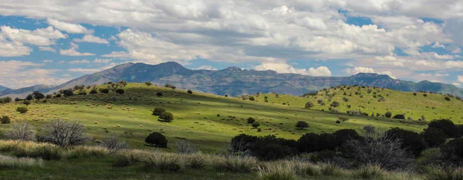 Ranches for Sale in New Mexico - 146 Properties - Land.com