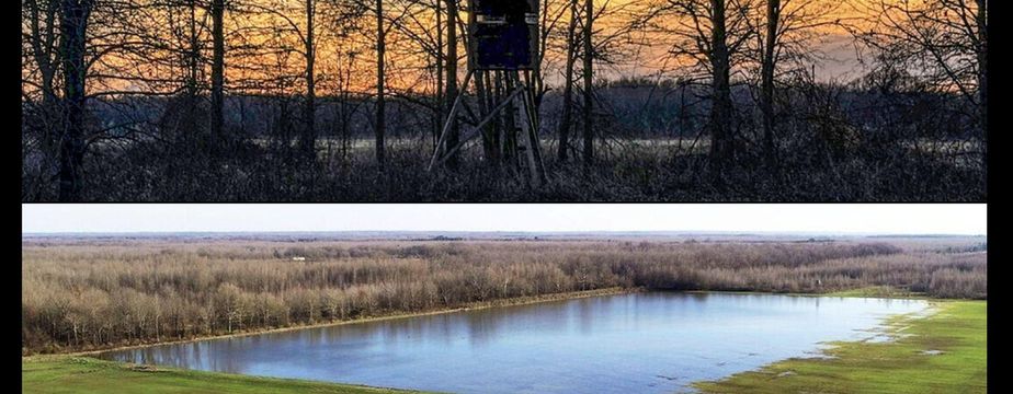 Hunting Land for Sale in Mississippi - 694 Properties - Land.com