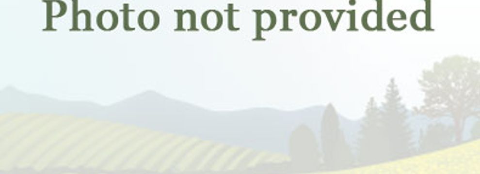 Cabins For Sale in Colorado - 1,126 Properties - Land.com