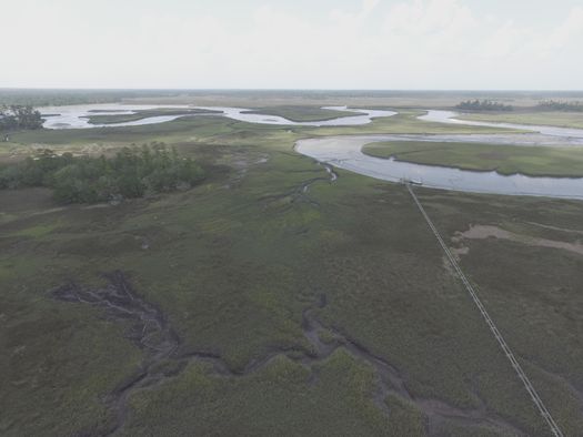 231 acres in McIntosh County, Georgia