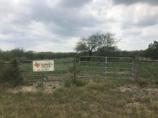 19 acres in Duval County, Texas