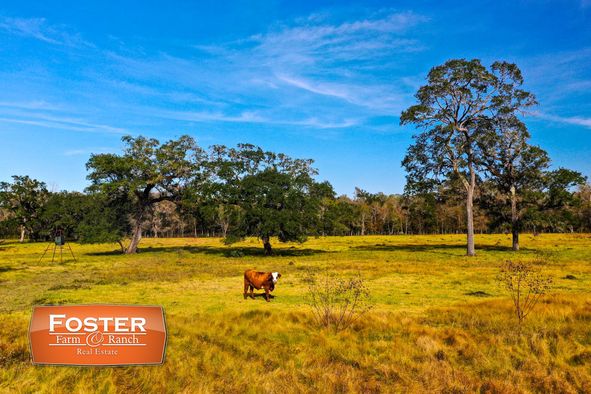 90 acres in Sugar Valley, TX, 77480 | Land.com