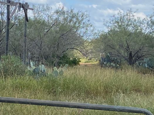 IH-35, Encinal, TX 78019 | MLS: 20223643 | Land.com