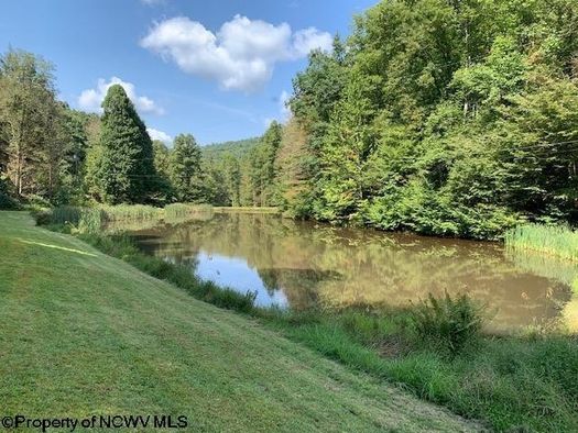 52 acres in Webster County, West Virginia