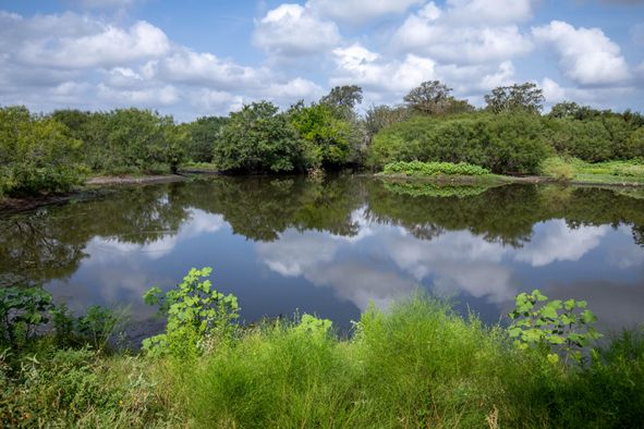 1224 Nolte-Boehl Road, Westhoff, TX 77994 | Land.com