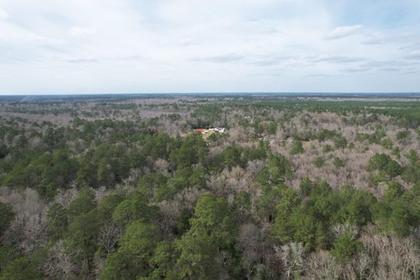 Fox Hunters Club Road, Bon Wier, TX 75928 | Land.com