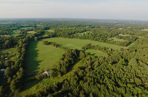 County Road 417, Rector, AR 72461 | Land.com