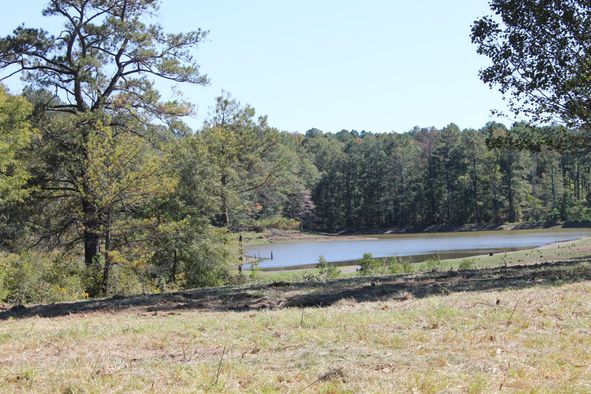 40 acres in Scooba, MS, 39358 | MLS: 22-590 | Land.com