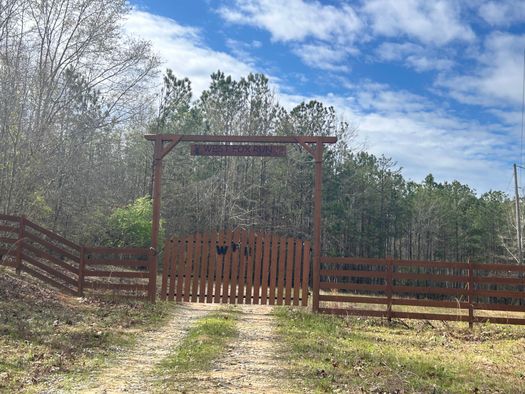 138 Dalton Loop, Lumpkin, GA 31815 | Land.com