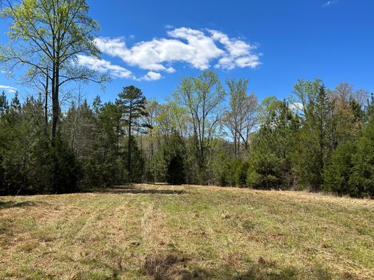 31 acres in Enoree, SC, 29335 | Land.com
