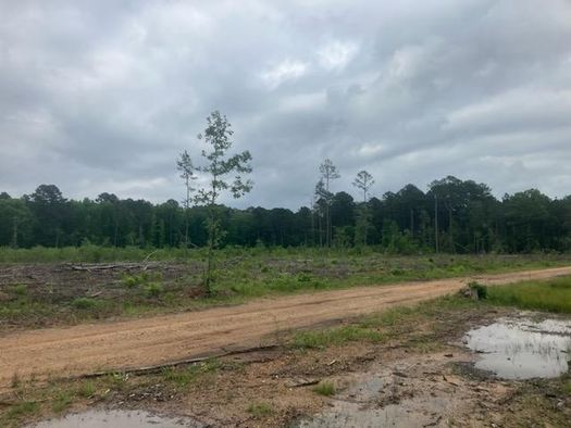 Oglee Road, Springhill, LA 71075 | Land.com