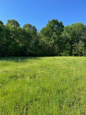 6001 County Road 233, Tyler, TX 75705 | MLS: 24004966 | Land.com