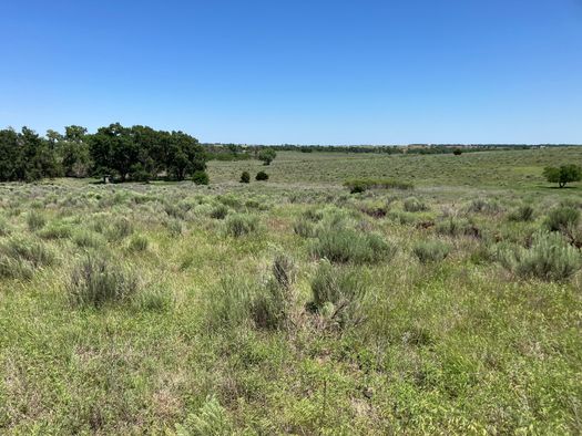 Barker Ranch North, Shamrock, TX 79079 | Land.com