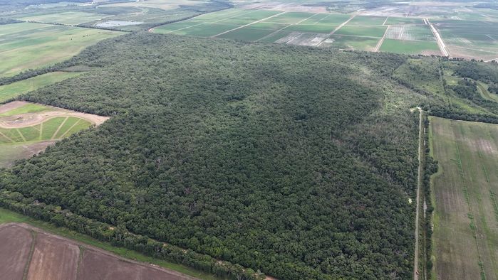 871 Big Ridge Road, Mangham, LA 71259 | Land.com